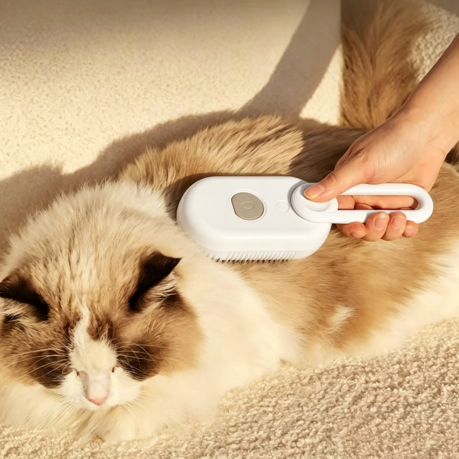 3-in-1 Pet Spray Grooming Brush, Anti-Static Steamy Cat & Dog Brush ...