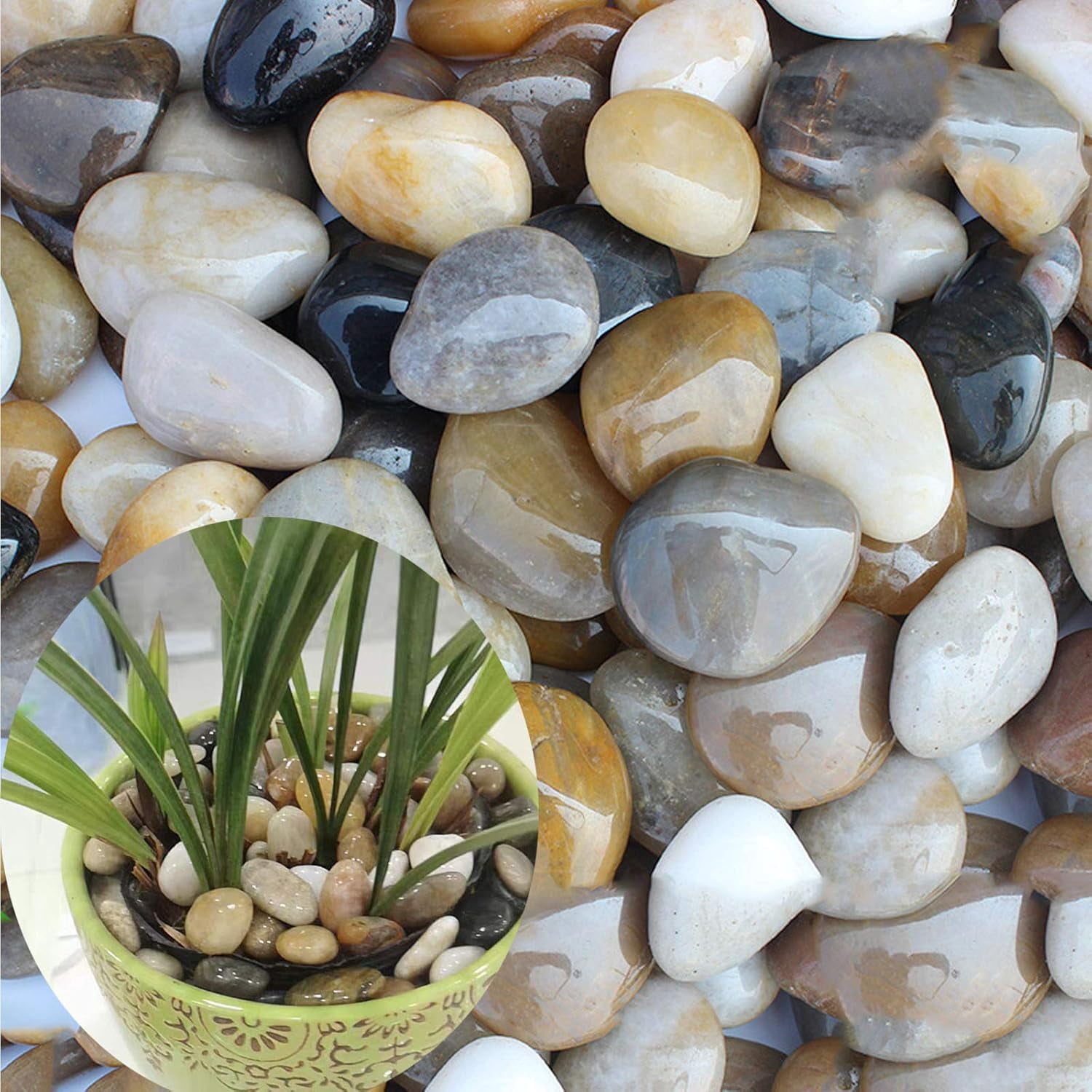 3 lb River Rocks for Succulent Plants,Decorative Rocks Bonsai Garden ...