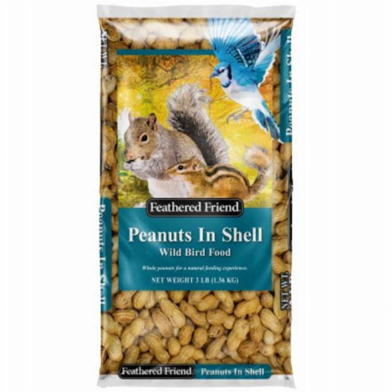 3 lbs Shell Peanuts Food - Walmart.com