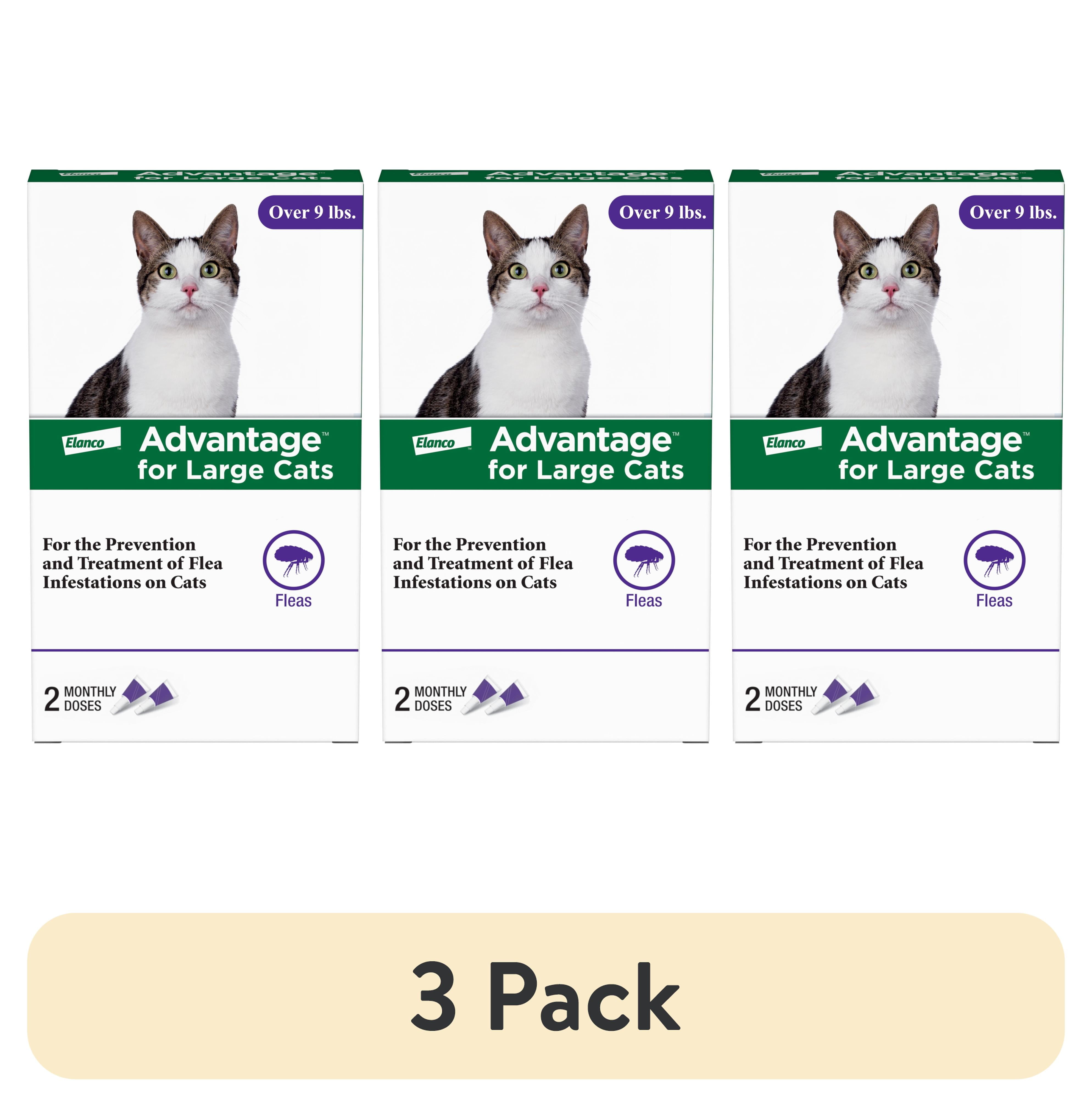 (3 pack) Advantage Topical Flea Treatment & Prevention For Large Cats ...