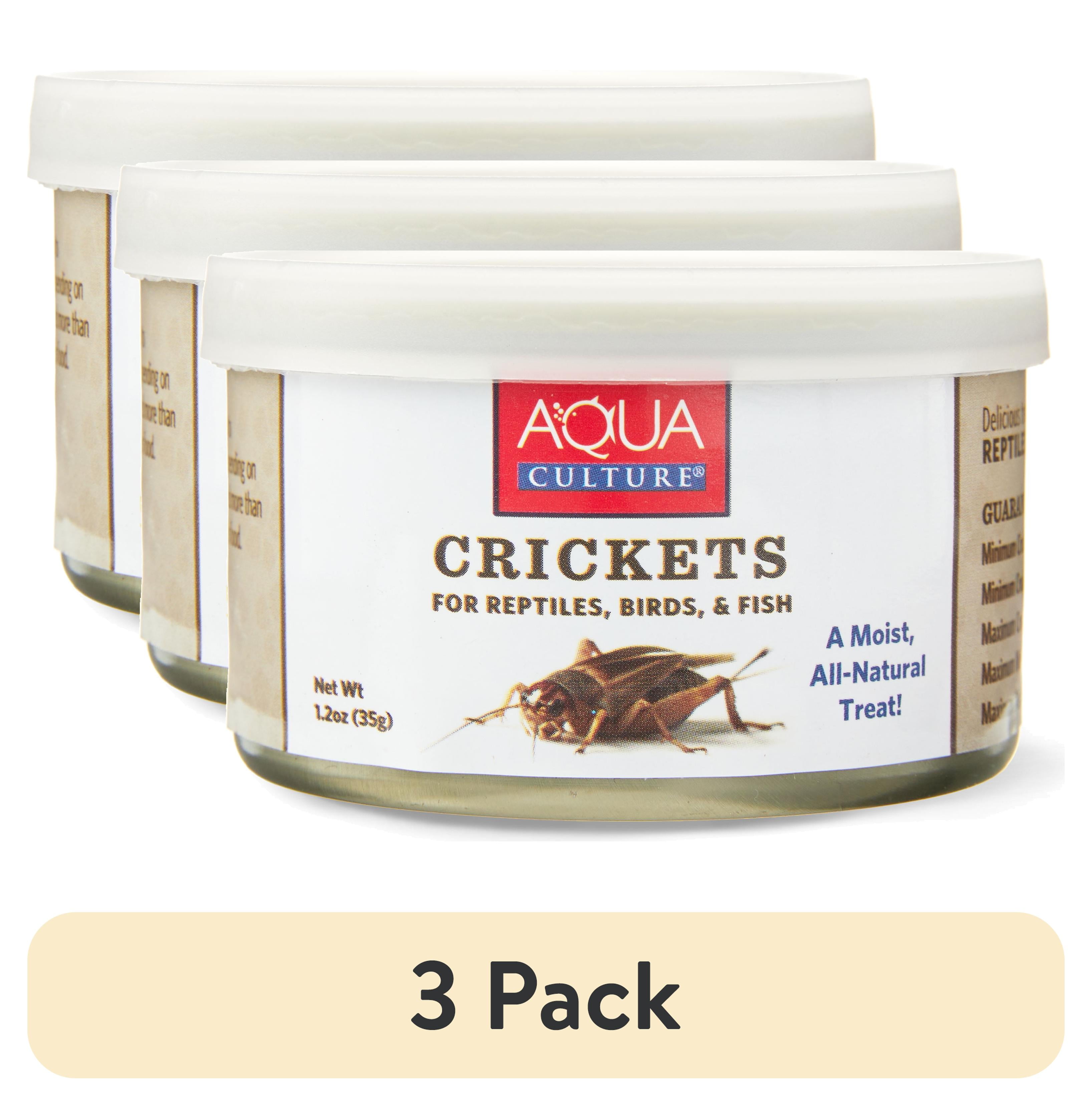 (3 pack) Aqua Culture Crickets for Reptiles, Birds, and Fish, 1.2 oz ...