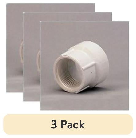 (3 pack) Charlotte Pipe & Foundry 241024 1.25 in. Female Trap Adapter ...