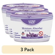 DampRid Reusable Moisture Absorber with Drop-In Tablet, Fresh Scent, 15 ...