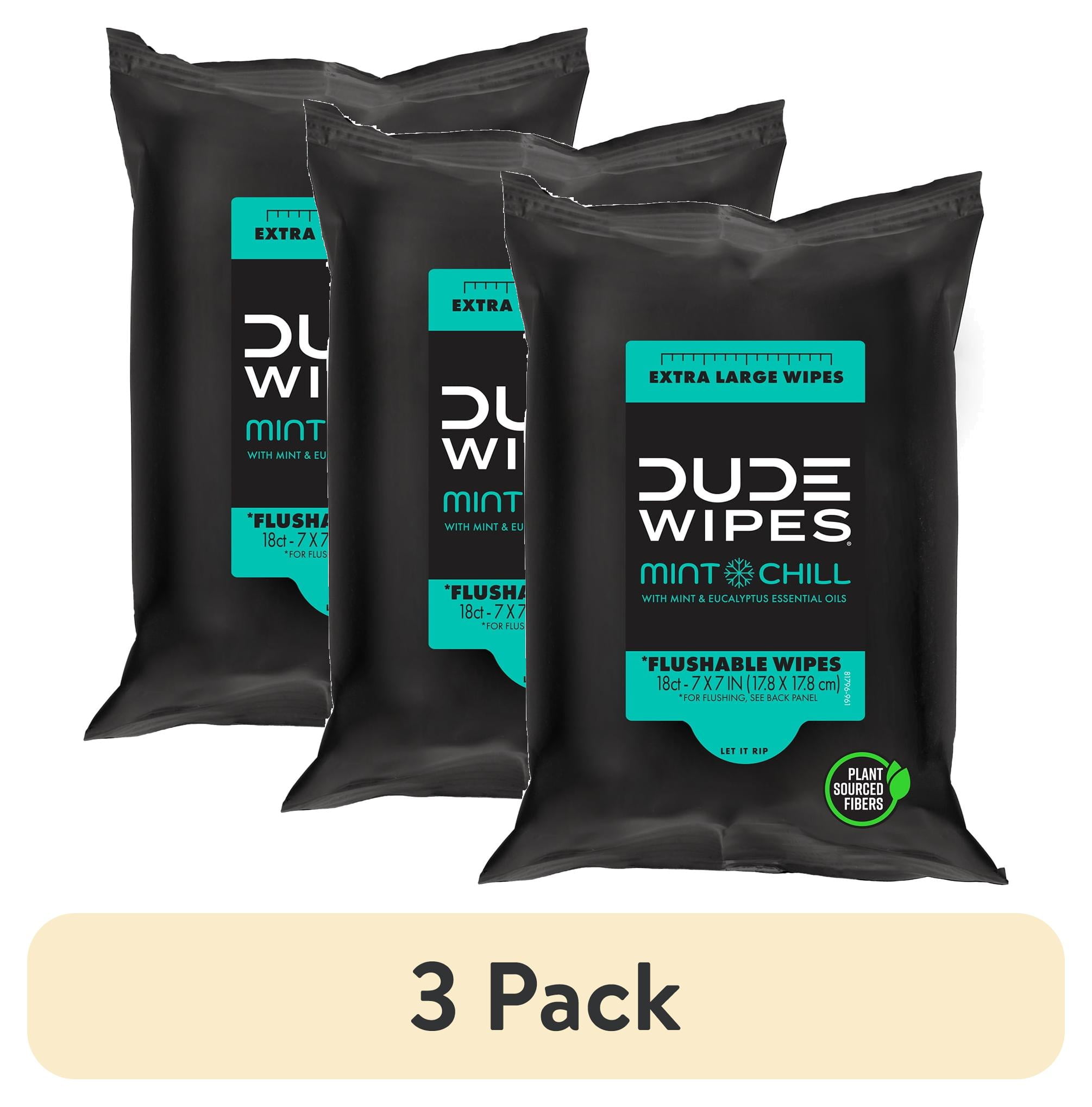 (3 pack) DUDE Flushable Wipes, Extra Large Mint Chill Wet Wipes Travel Pack, 18 Count - Walmart.com