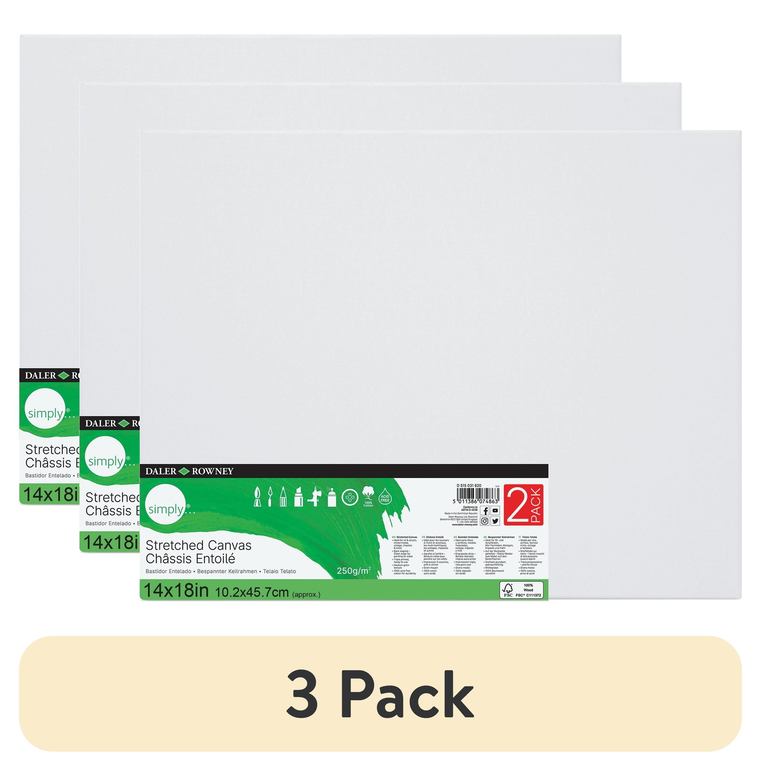 (3 pack) Daler-Rowney Simply 14" x 18" Stretched Canvas Pack, 2 Piece ...