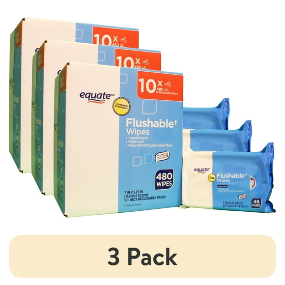 Equate Flushable Wipes