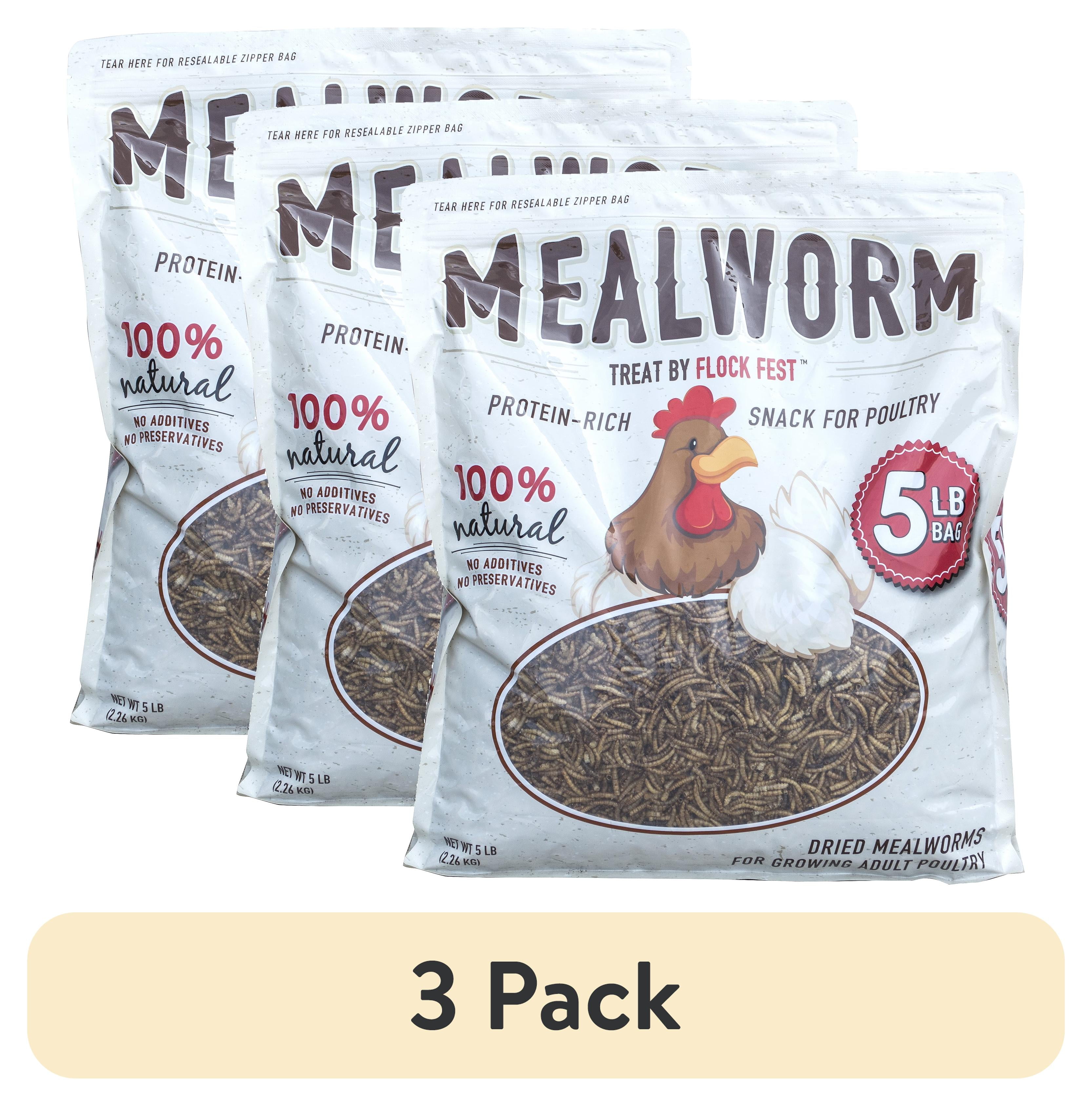 (3 pack) Flock Fest Dried Mealworms for Chickens, Wild Birds, Ducks ...