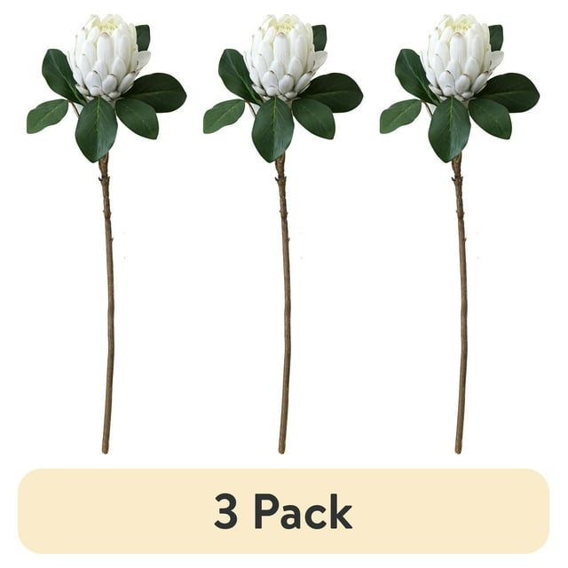 (3 pack) Mainstays 26.5"L Artificial Indoor Silk Protea Stem - Walmart ...