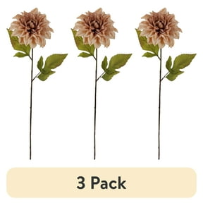 Dahlia Flower