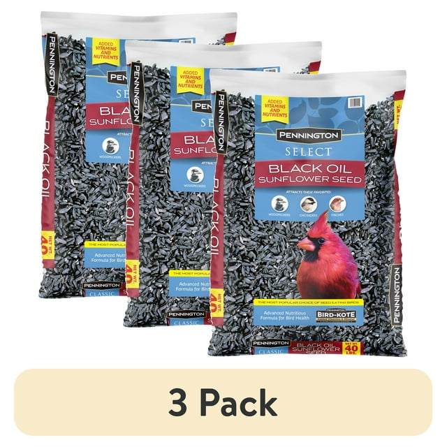 (3 pack) Pennington Select Black Oil Sunflower Seed Wild Bird Dry Feed ...