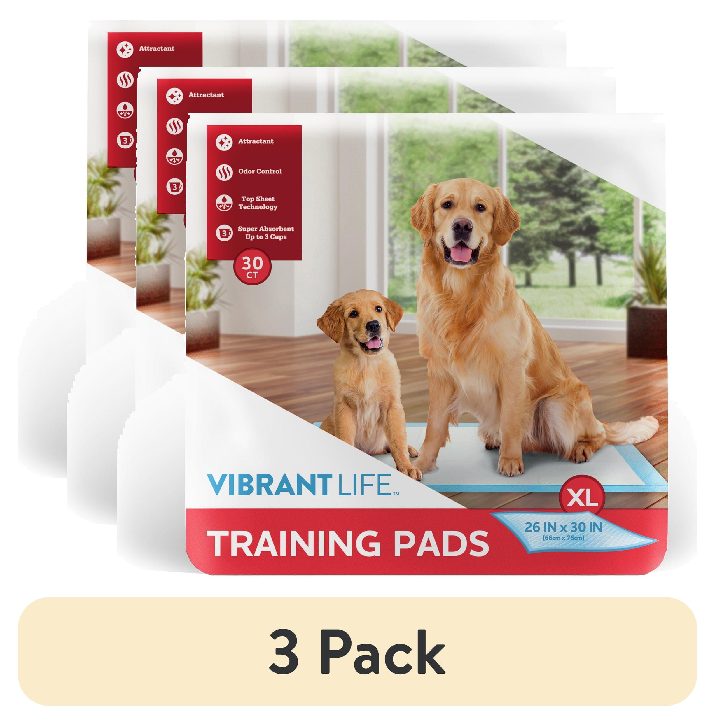 (3 pack) Vibrant Life Training Pads – Super Absorbent, Leak Proof ...