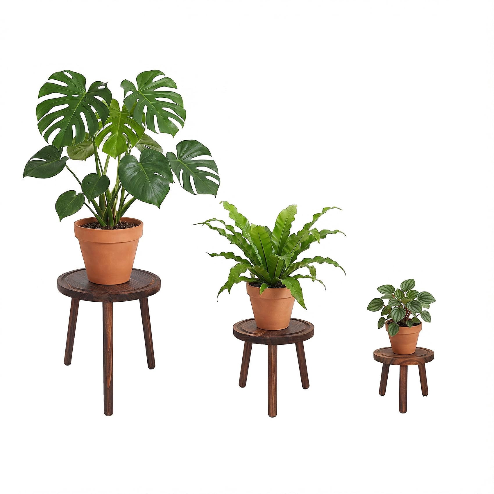 3-pack Wood Plant Stands Indoor Single Stand For 6-12 Inch Pots Mid ...