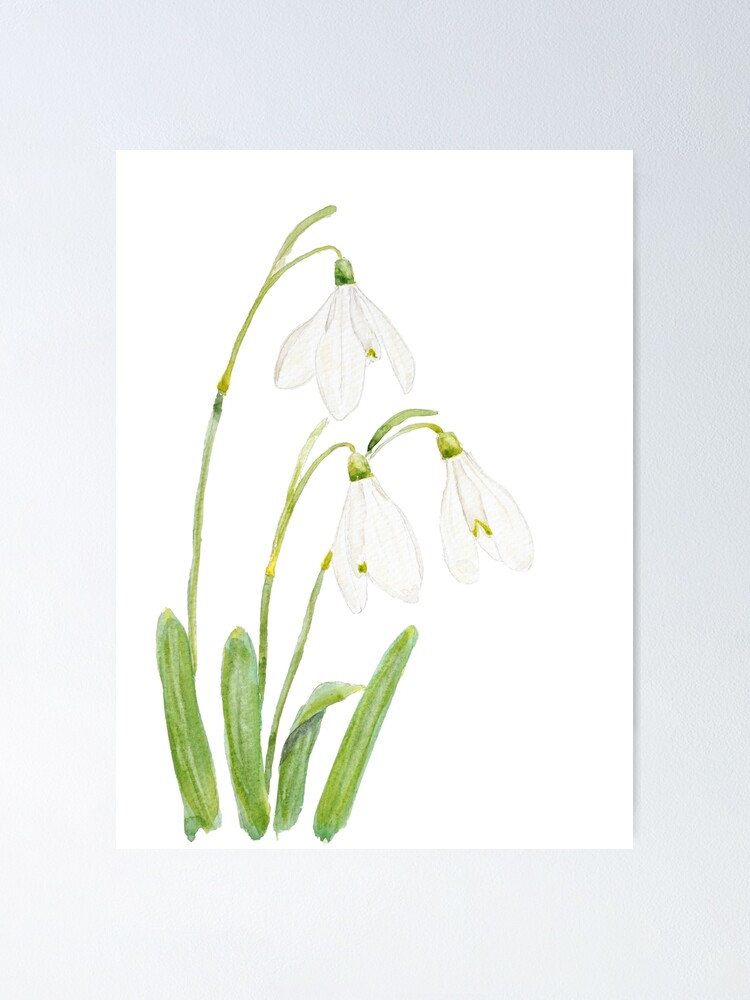 3 snowdrop flowers watercolor hand painted Fashion Art Decor Frame ...