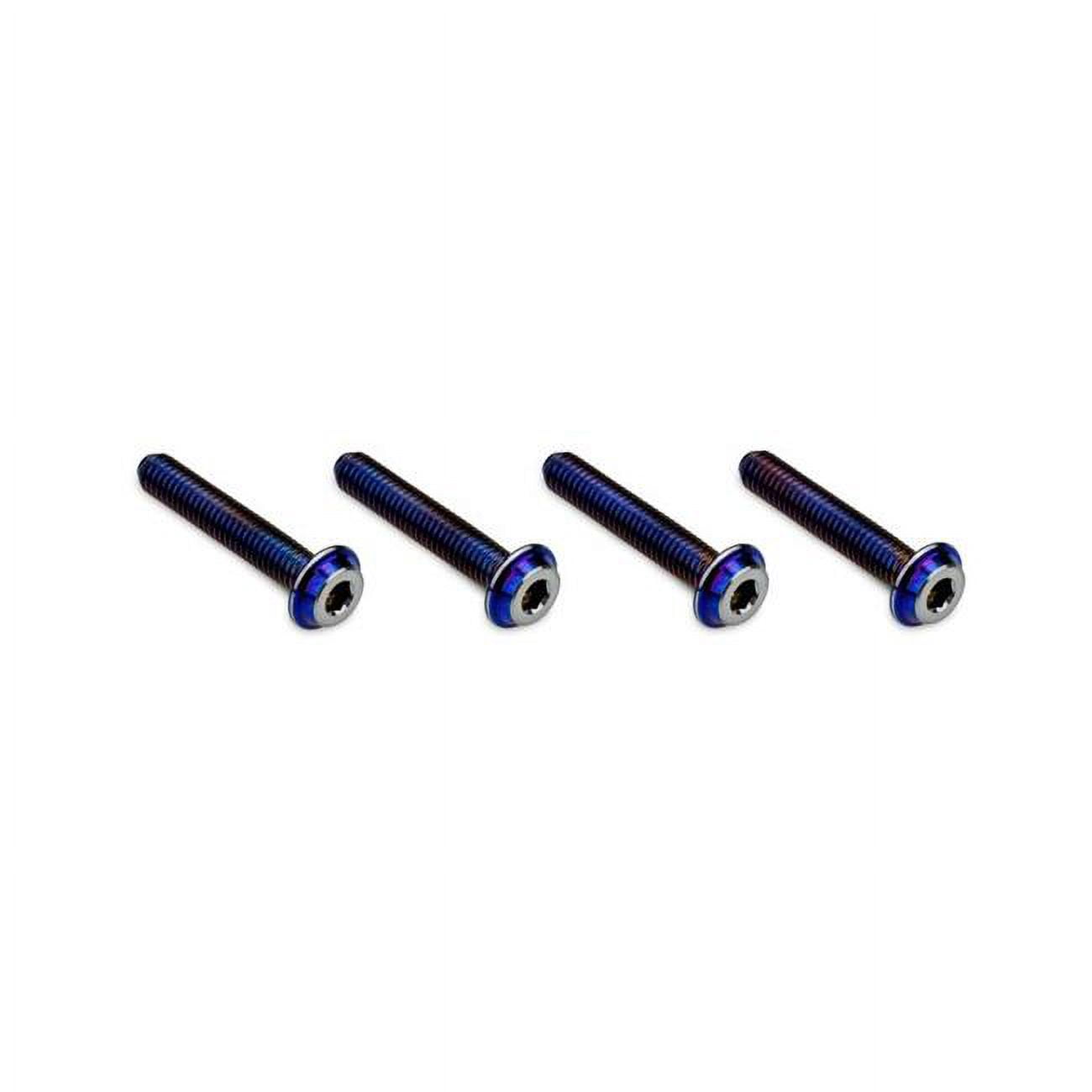 3 x 16 mm Top Hat Titanium Screw, Burnt Blue - 4 Piece - Walmart.com