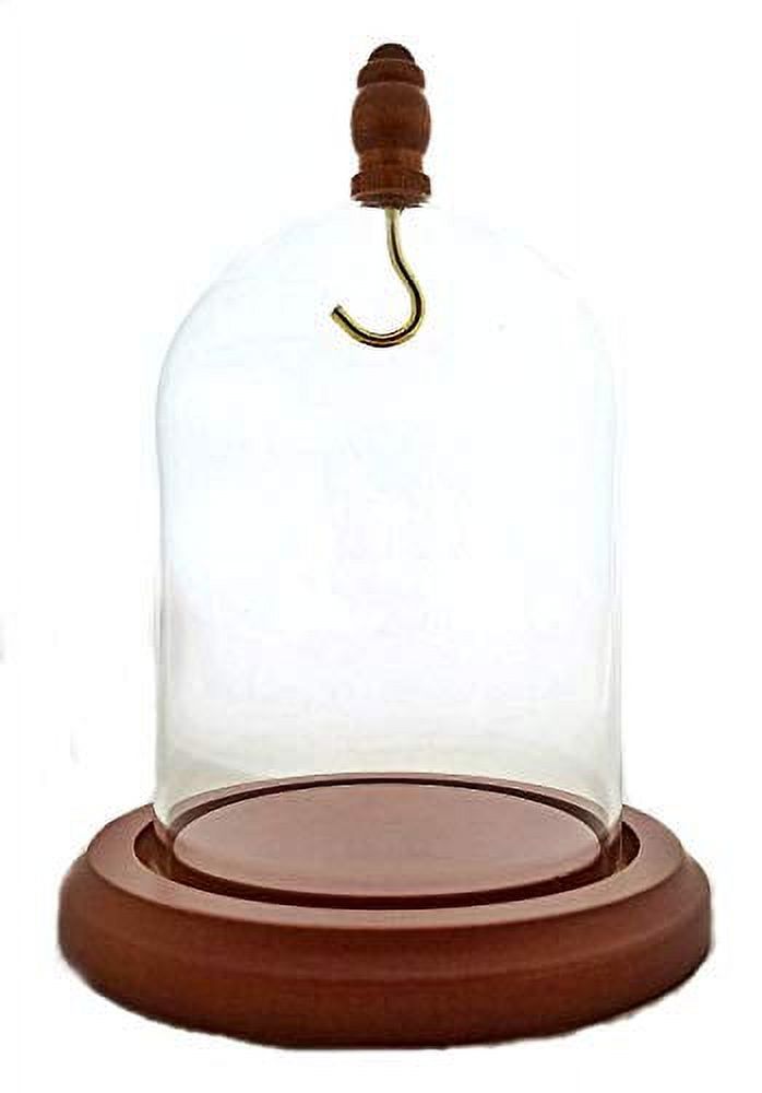 3 x 4 Pocket Watch Glass Display Dome Cloche with Hook & Wood Knob ...