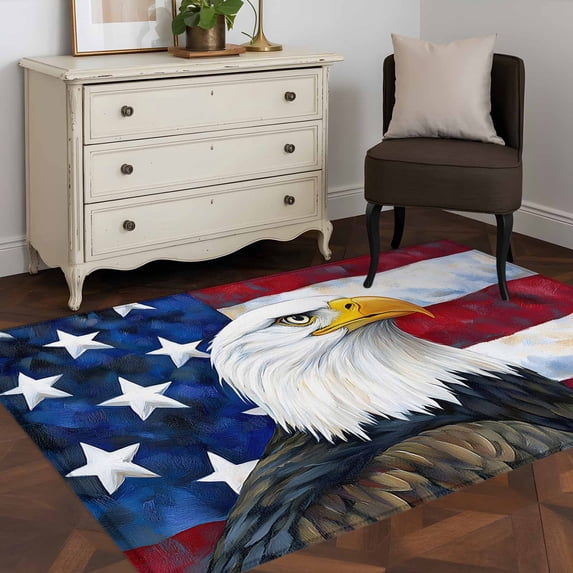 3'x5' Area Rugs, 4th of July Indoor Outdoor Area Rug for Living Room ...