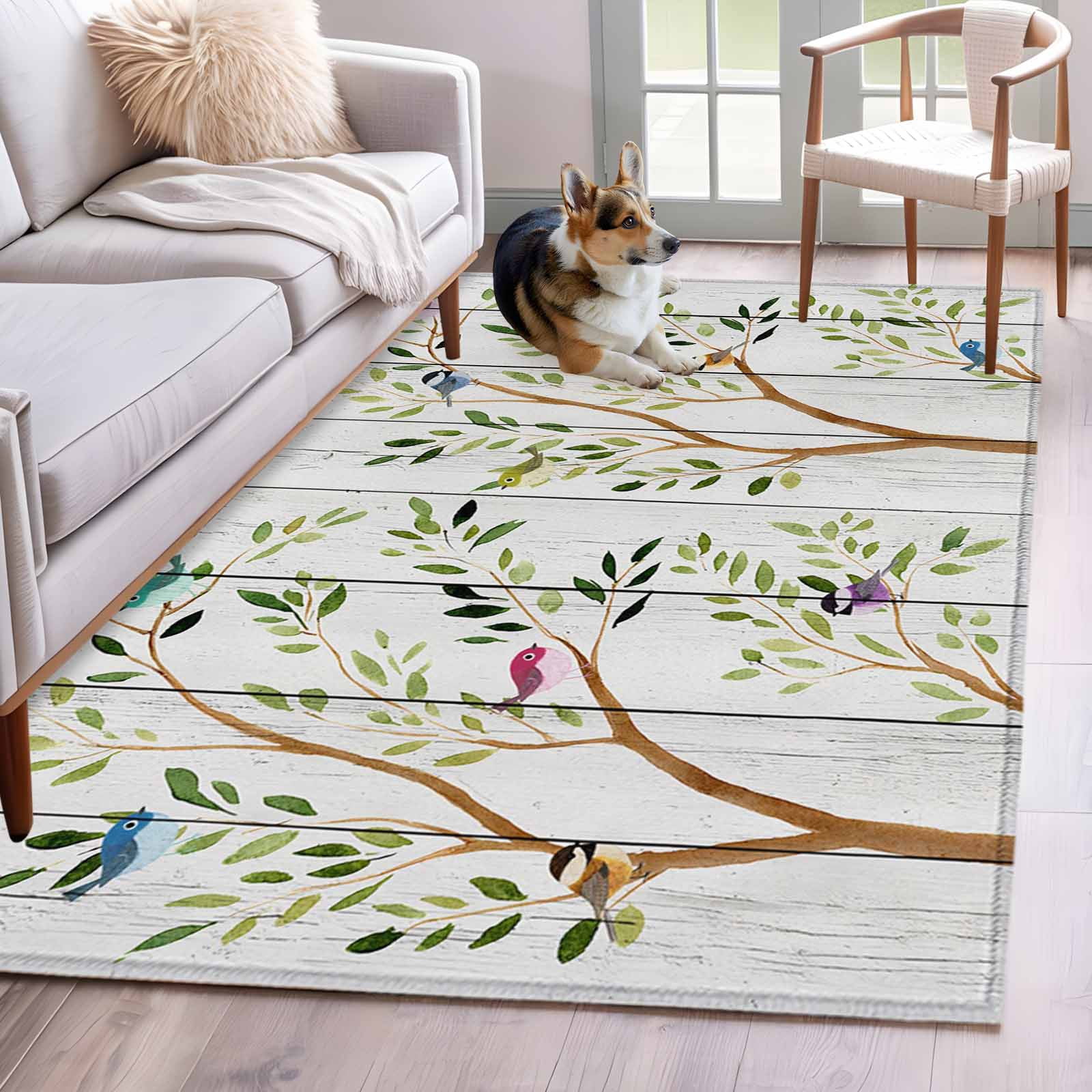 3'x5' Area Rugs, Birds Indoor Outdoor Area Rug for Living Room Bedroom ...