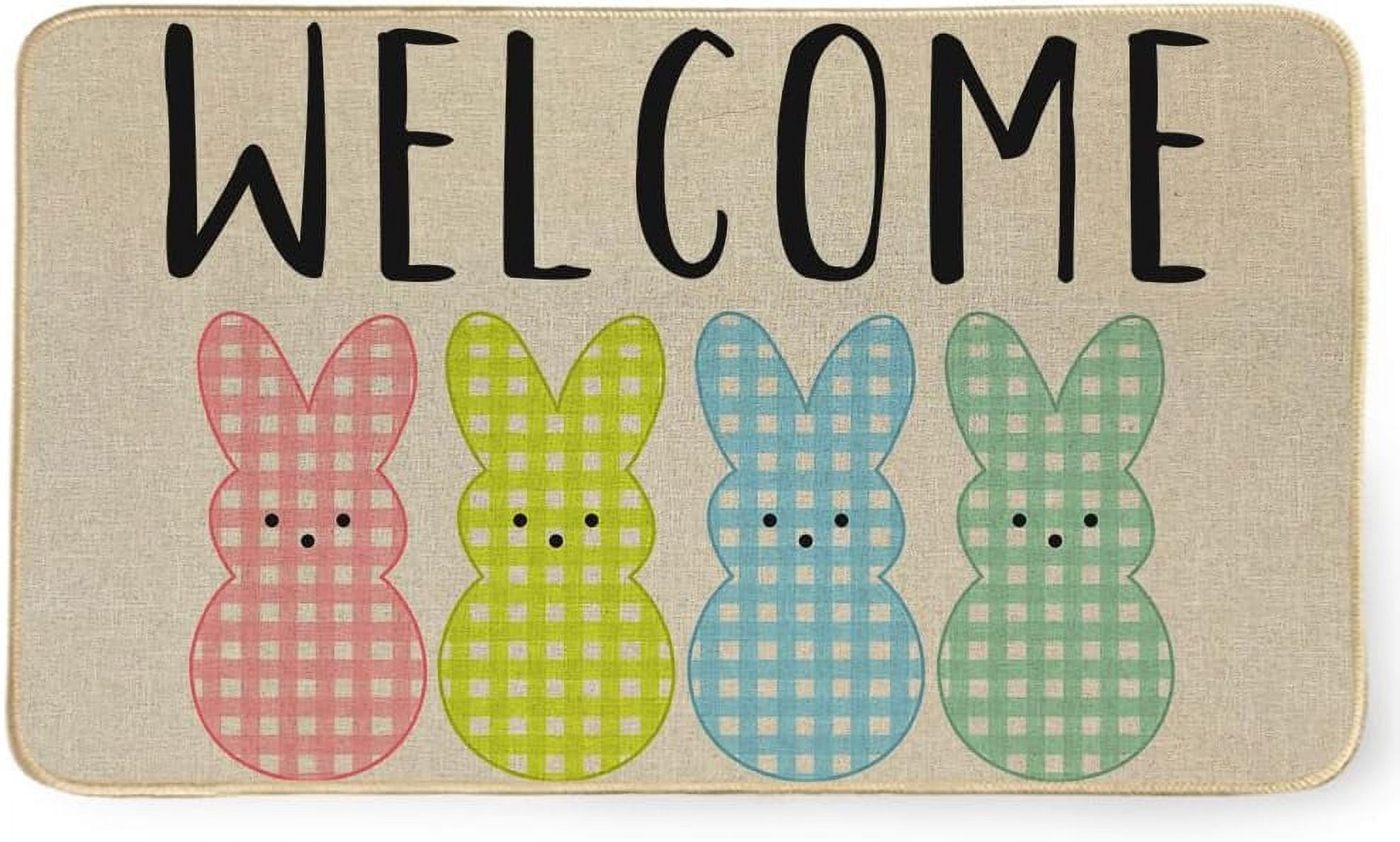 30*17inches Easter Welcome Decorative Doormat for Front Door Mat Indoor ...