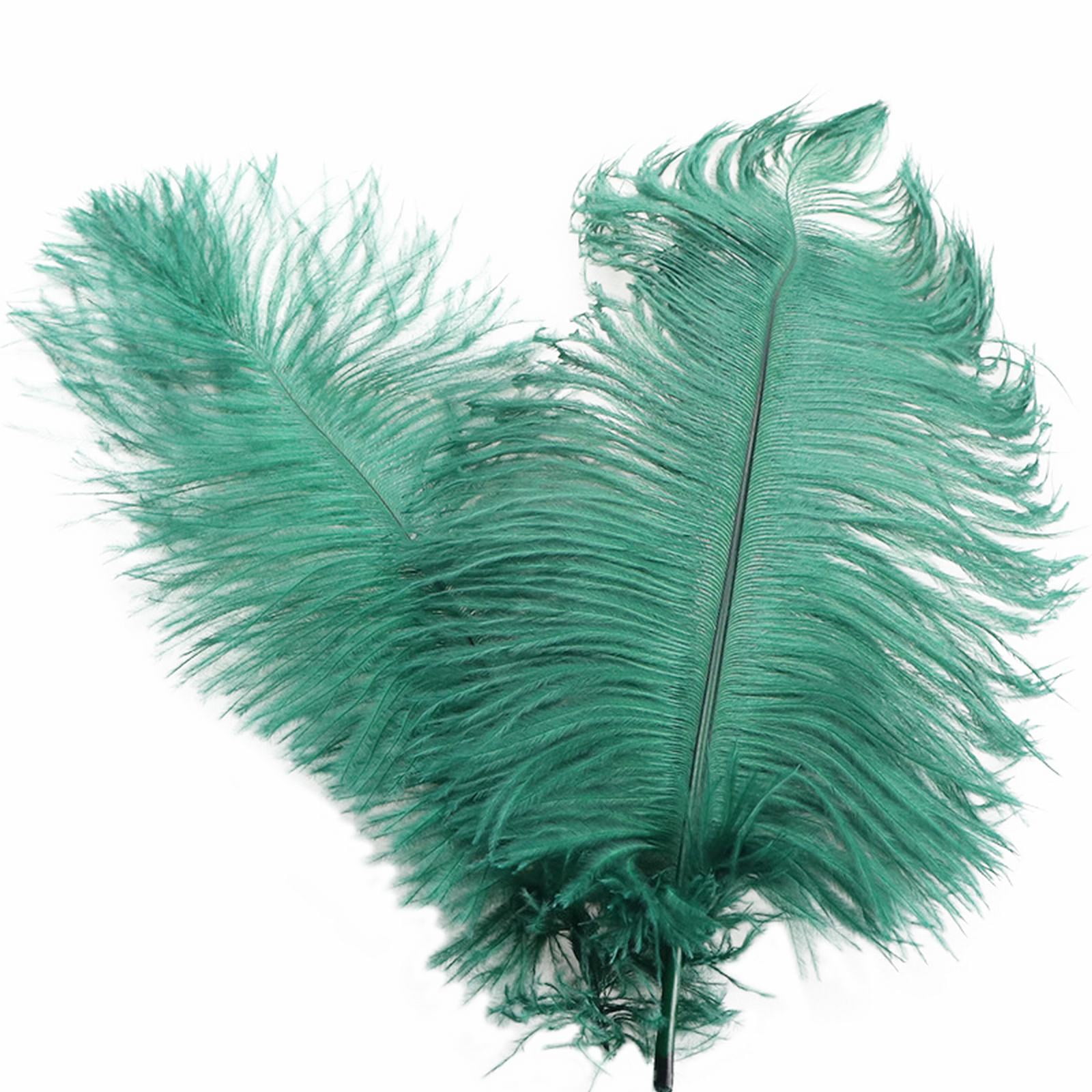 30-35Cm Natural Ostrich Feathers Bulk Pack, Colorful Craft Feathers for ...