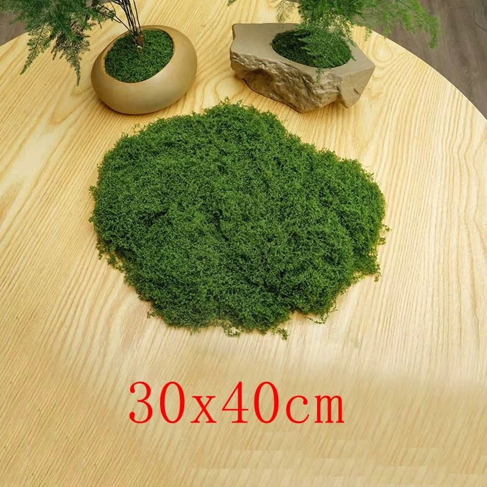 30/50/100g Green Artificial Moss Plant Fake Moss DIY Crafts Grass for ...