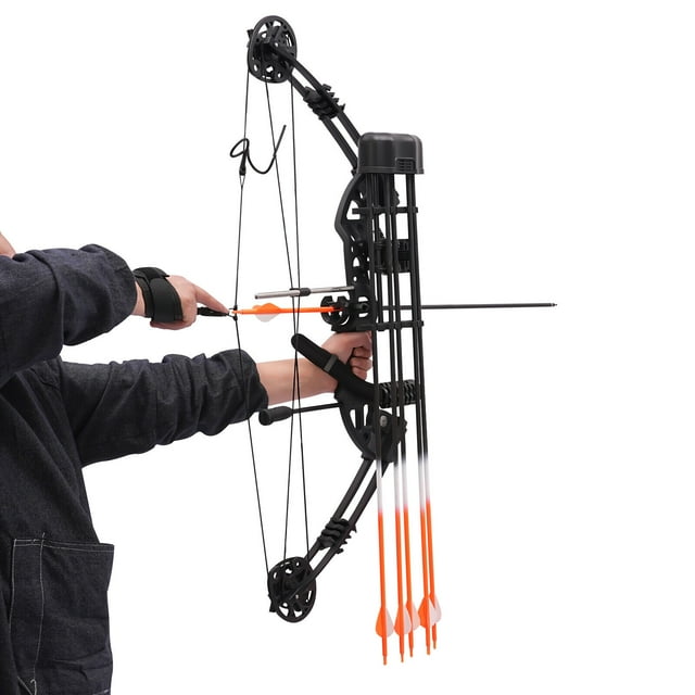 30-60lbs 280-320FPS Adult Compound Bow Kit Archery Hunting Shooting W ...