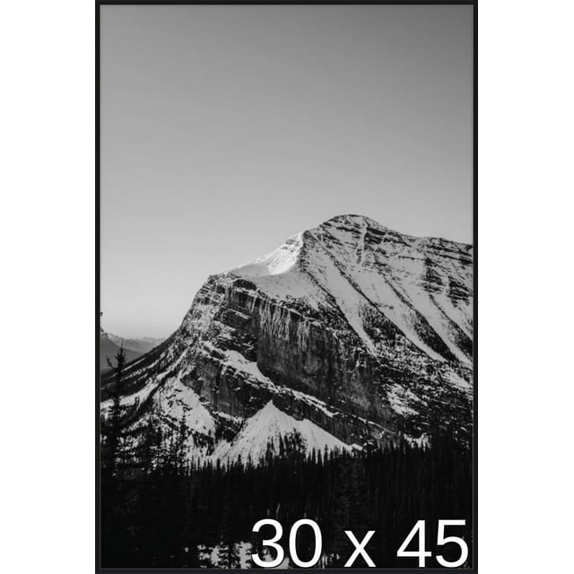 30 7/8 x 45 7/8 Black Metal Frame (Ashford) 30.9x45.9 inches - Walmart.com
