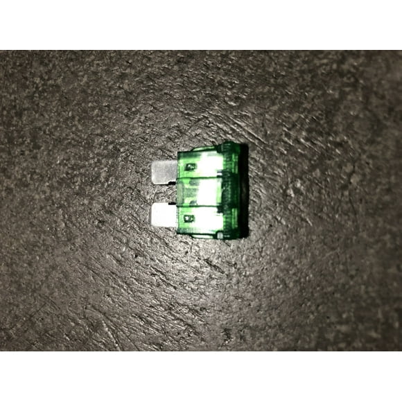 30 Amp Automotive Fuses