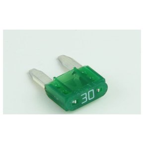 30 Amp Automotive Fuses
