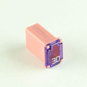 30 Amp Automotive Fuses
