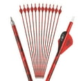 30" Archery Carbon Arrows SP500 ID 6.2mm Compound Recurve Bow Hunting ...