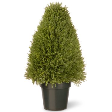 National Tree Artificial 54" Artificial Juniper Slim Spiral - Walmart.com