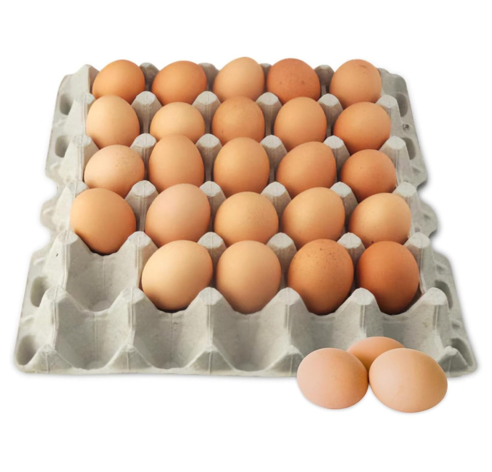30-Count Paper Egg Filler Flats, Biodegradable Bulk Egg Trays for ...