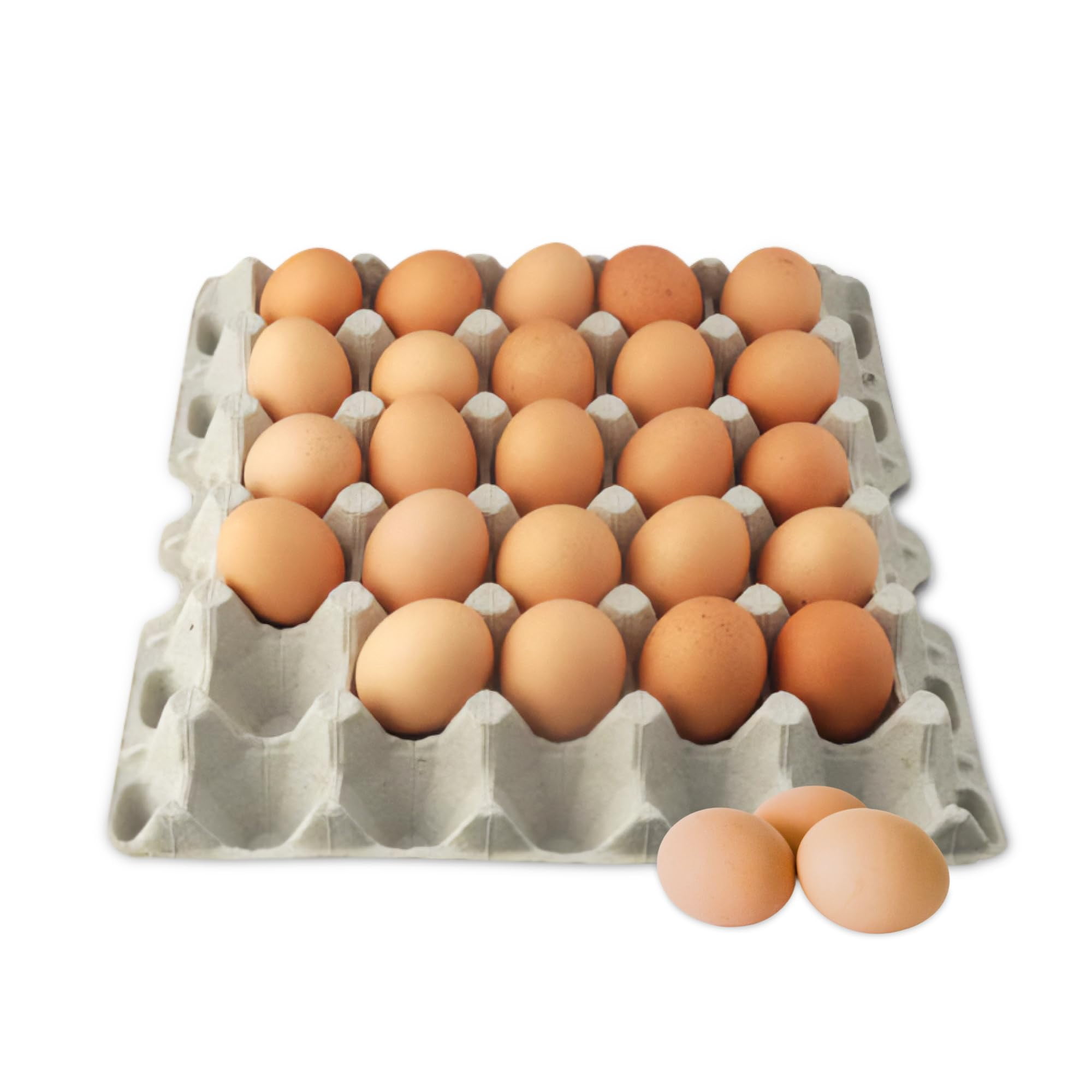 Biodegradable 30-Egg Paper Flats, Recycled Pulp Egg Trays for Poultry ...