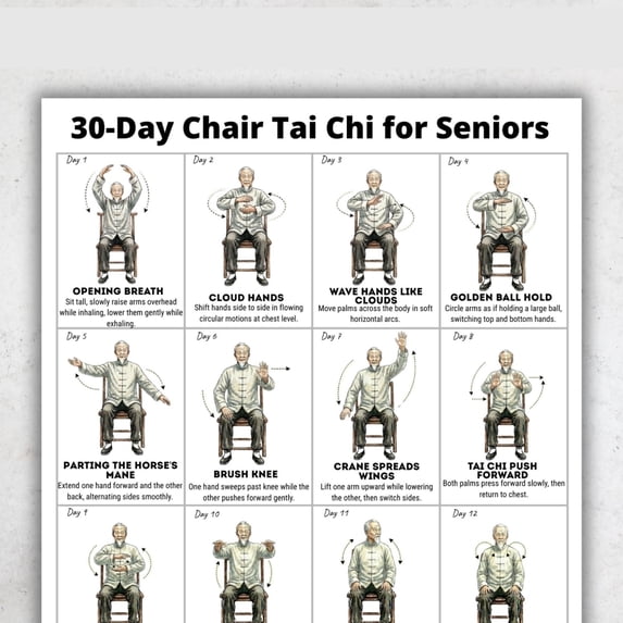 30 Day Tai Chi Chair Poster For Elderly People, Daily Home And Sitting ...