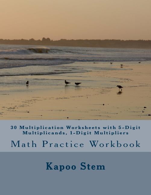 30 Multiplication Worksheets with 5-Digit Multiplicands, 1-Digit ...