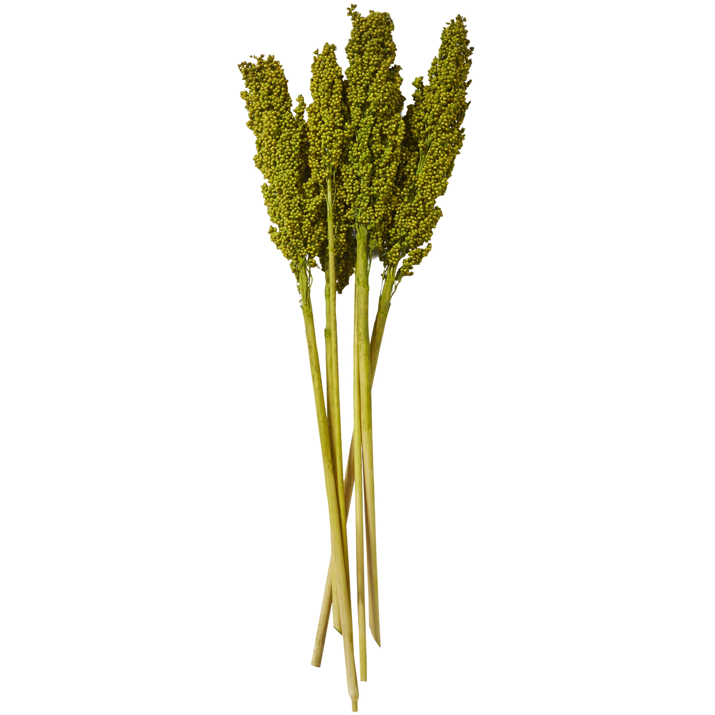 30" Dried Plant Natural Foliage Corn Maze Bouquet with Long Stems, by ...