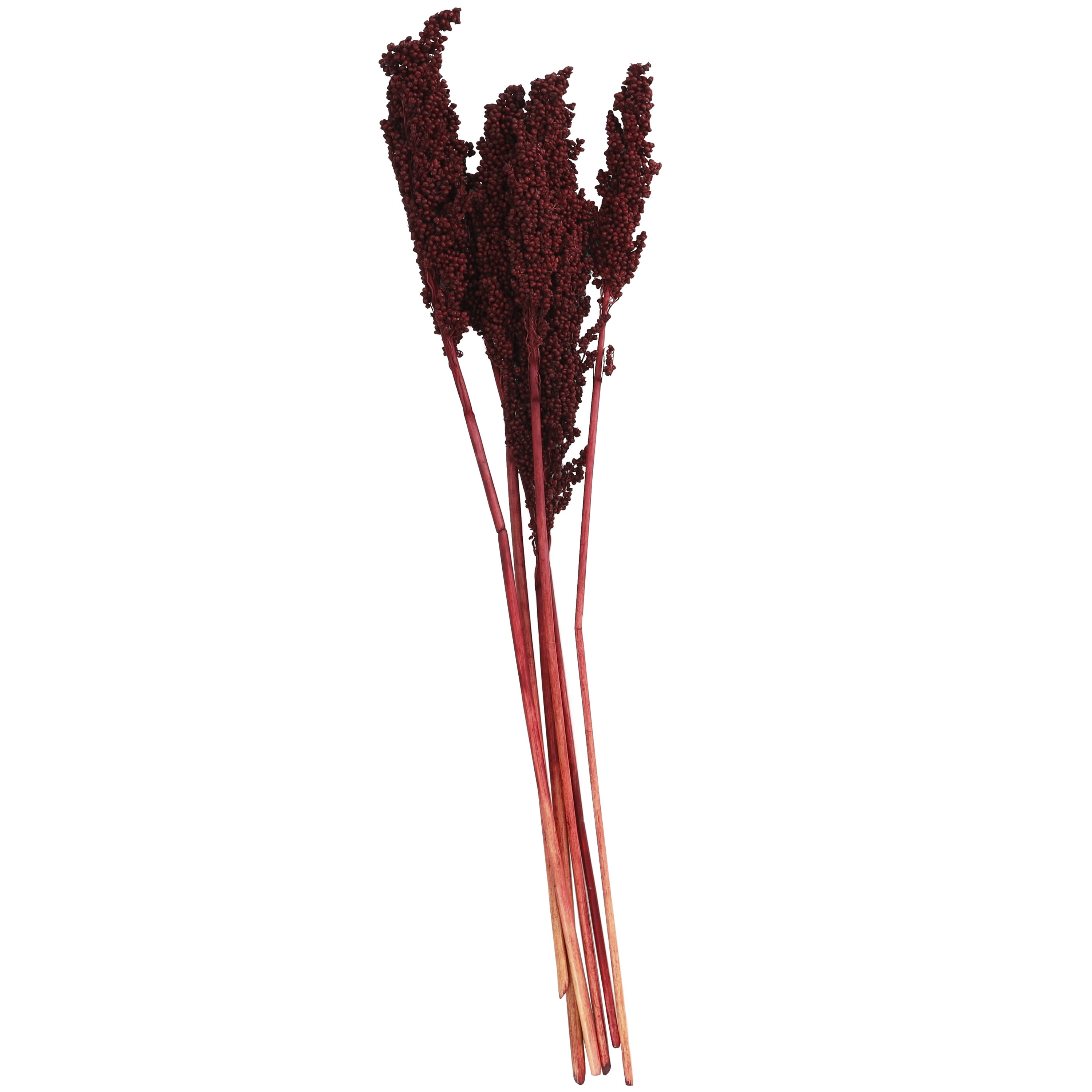 30" Dried Plant Natural Foliage Corn Maze Bouquet with Long Stems, by ...