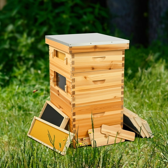 30 Frame Bee Hive Kit Beeswaxed Langstroth Beehive Kit w Clear Acrylic ...