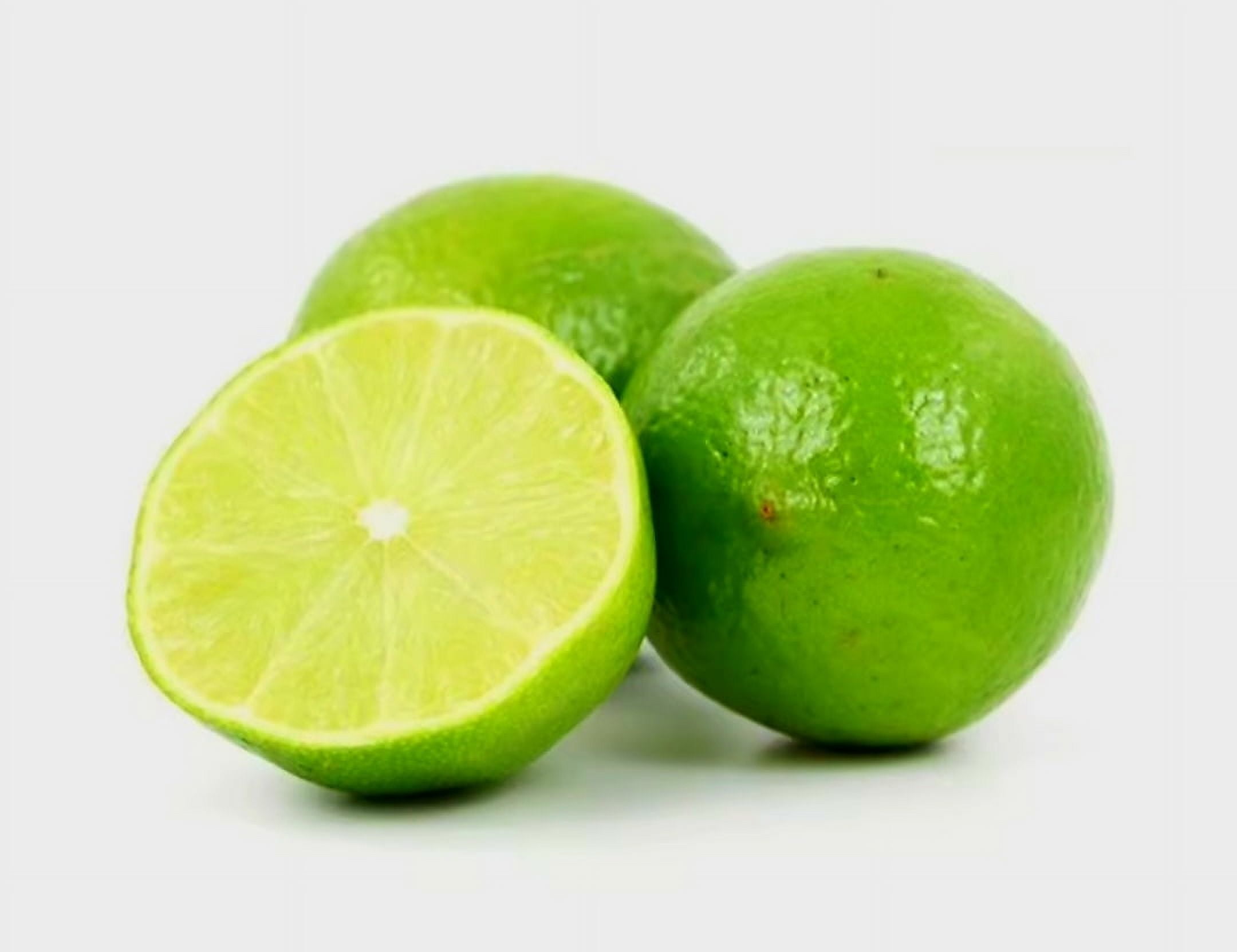 30 Green Limon Seeds, Natural Organic Dwarf Citrus Calamansi Lime Seeds ...