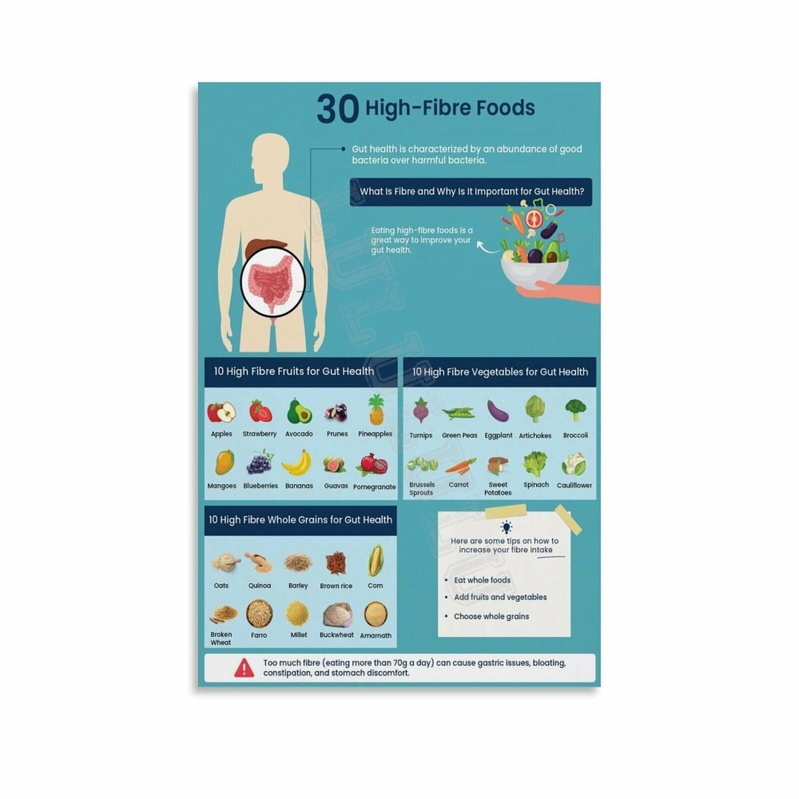 30 High-fibre Foods To Level Up Gut Health Poster Canvas Painting ...