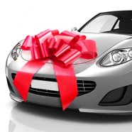 MIFFLIN Large 30-Inch Huge Red Butterfly-Shaped Car Gift Bow (US ...