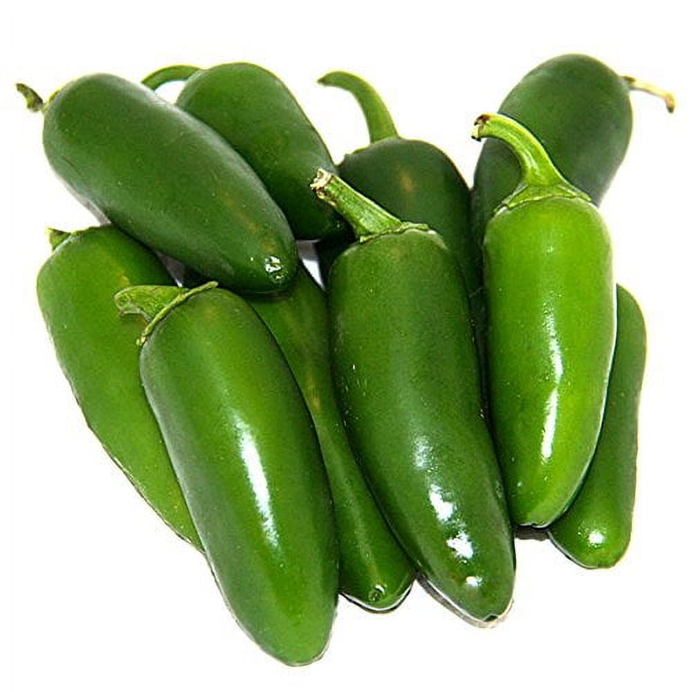 30 Mucho Nacho Jalapeno Hot Pepper SMRSeeds Heirloom Non-GMO, Capsicum ...