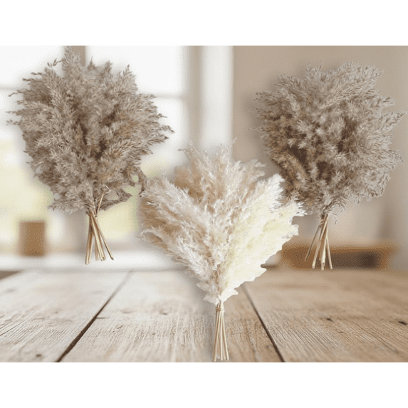30 PCS Natural Dried Pampas Grass Stems, Fluffy Boho Decor for Home ...