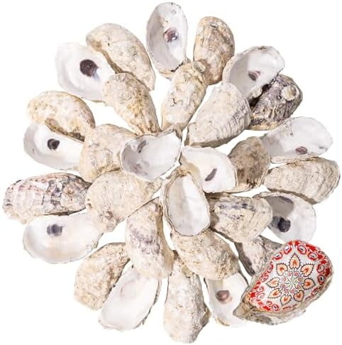 30 PCS Oyster Shells, 4"-5" Large Oyster Shells for Crafts, Natural ...
