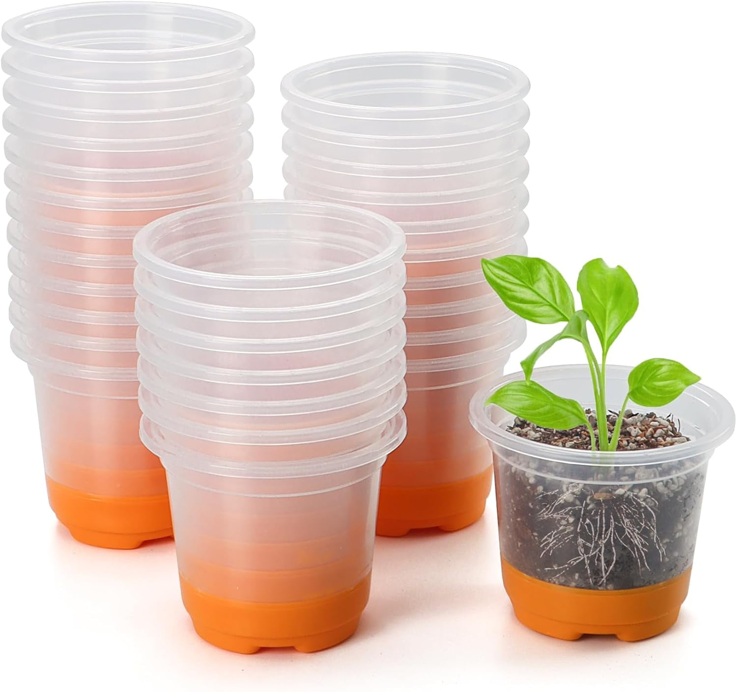 30 Pack 4" Reinforced Clear Nursery Pots with Silicone Base, Reusable ...