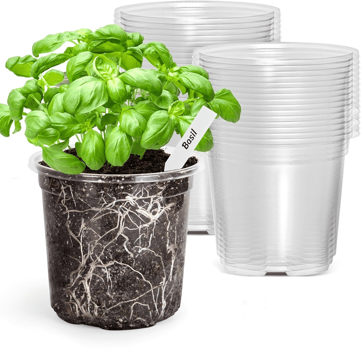 30 Pack 5 Inch Clear Nursery Pots with Drainage, Clear Pots for Plants ...
