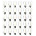 FLSNT 30-Pack Bright Patio LED String Light Replacement Bulbs, E26 Base ...