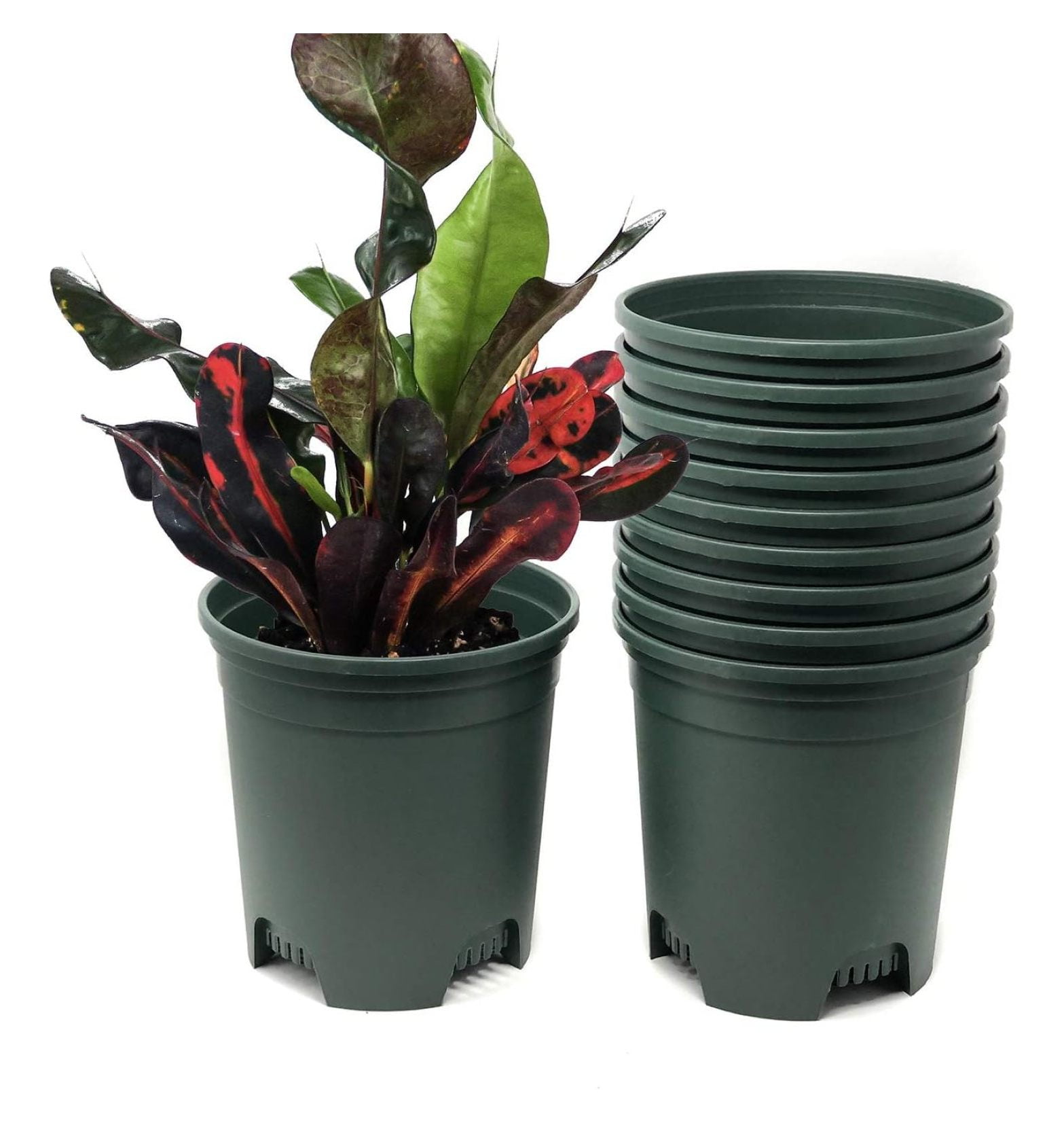 30-Pack Wholesale Nursery Pot in Bulk 1.5 Gallon Plastic Planters for ...