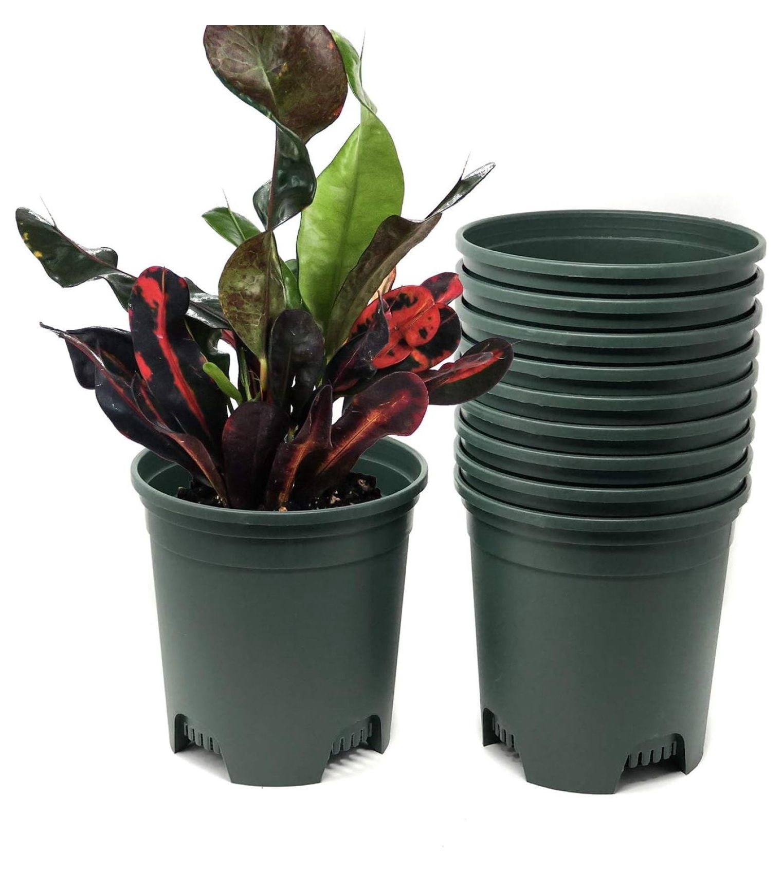 30-Pack Wholesale Nursery Pot in Bulk 1.5 Gallon Plastic Planters for ...
