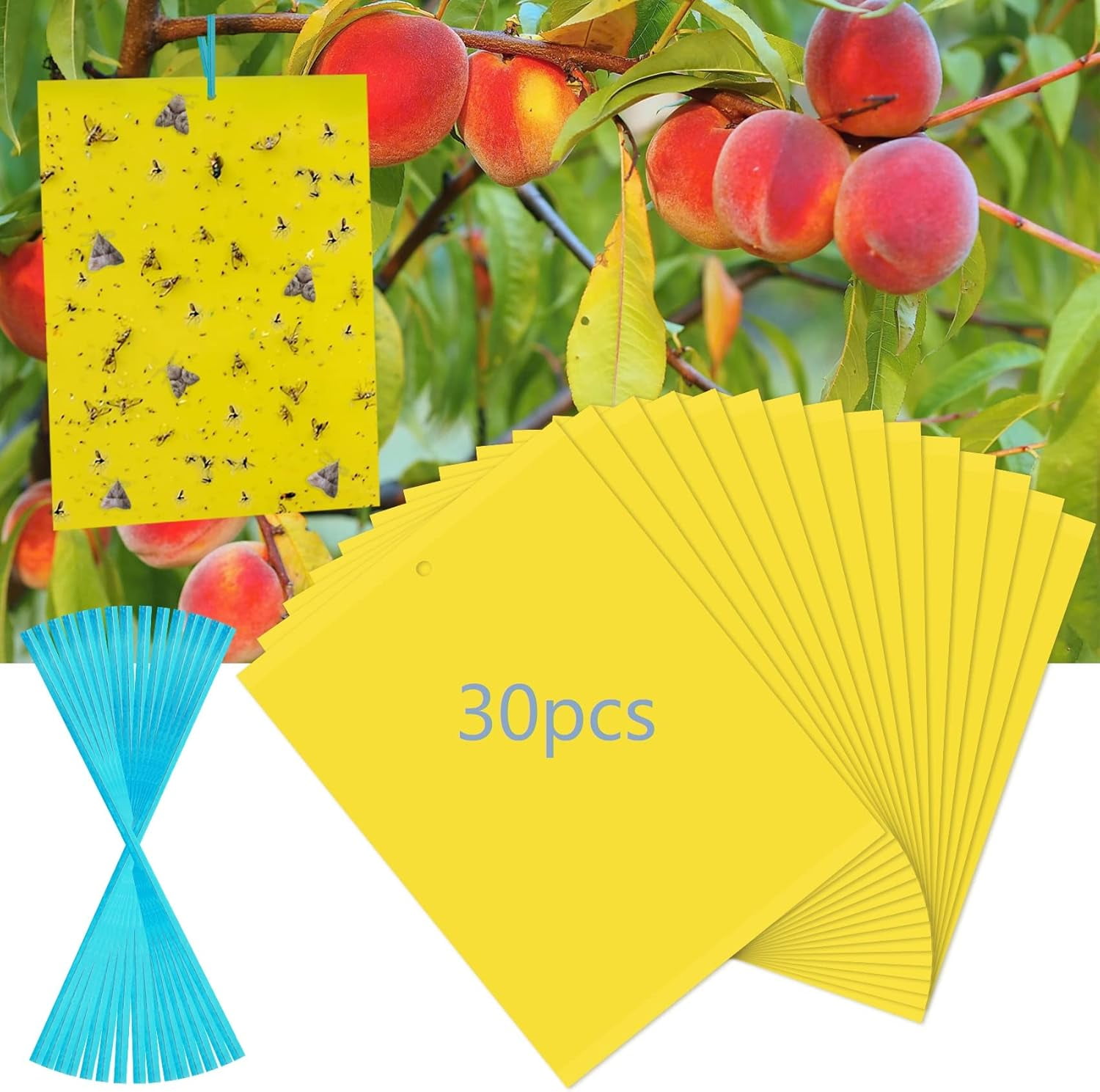 30 Pack Yellow Sticky Traps Fruit Fly Trap, Double-Sided Fungus Gnat ...